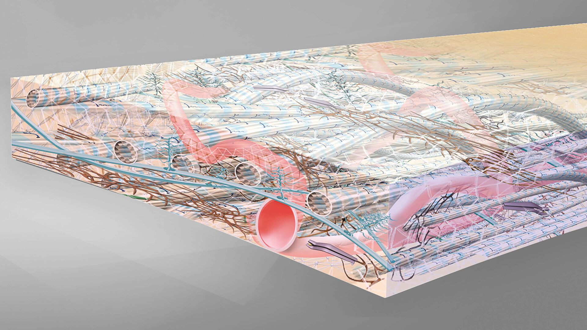 Camlog – dental implant systems for implantology dentistry